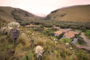 Nuestro Hotel | polylepis